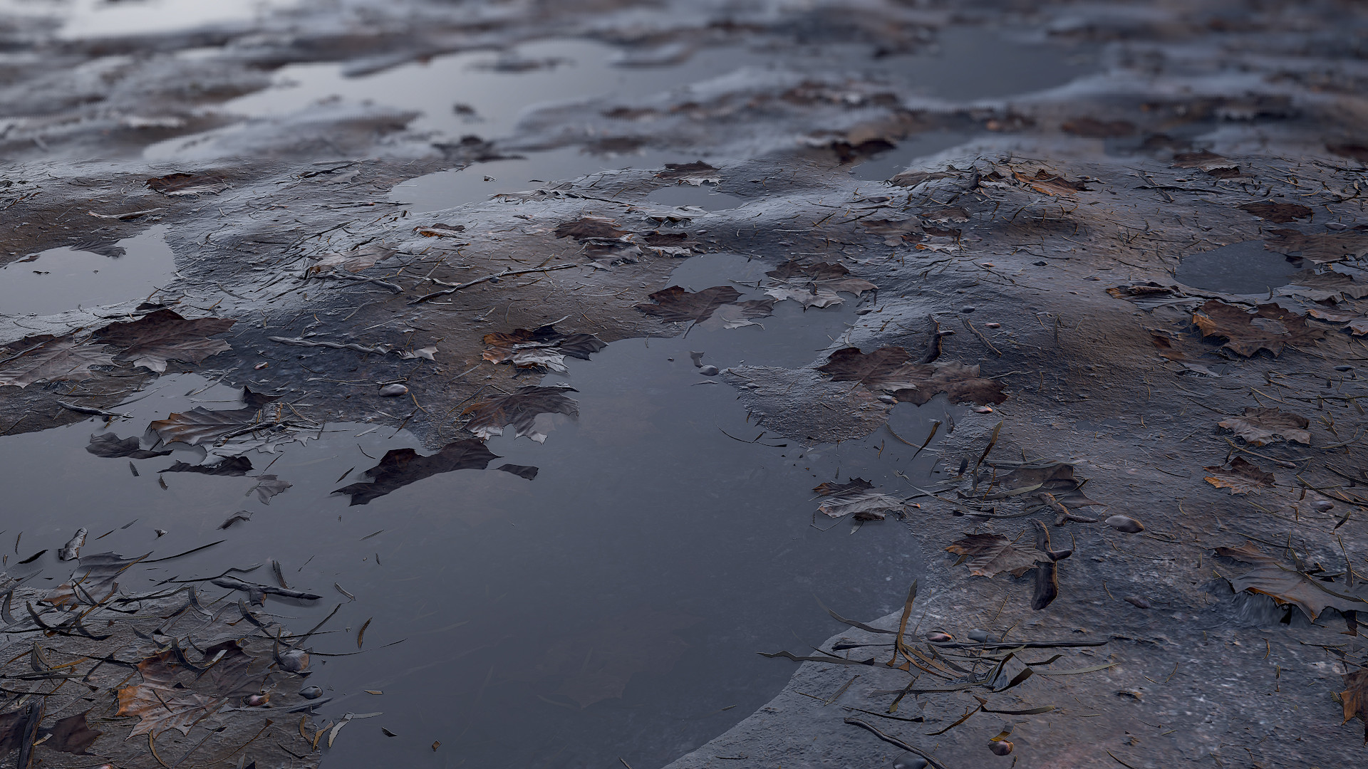 Patrick Bormann - tileable muddy forest ground