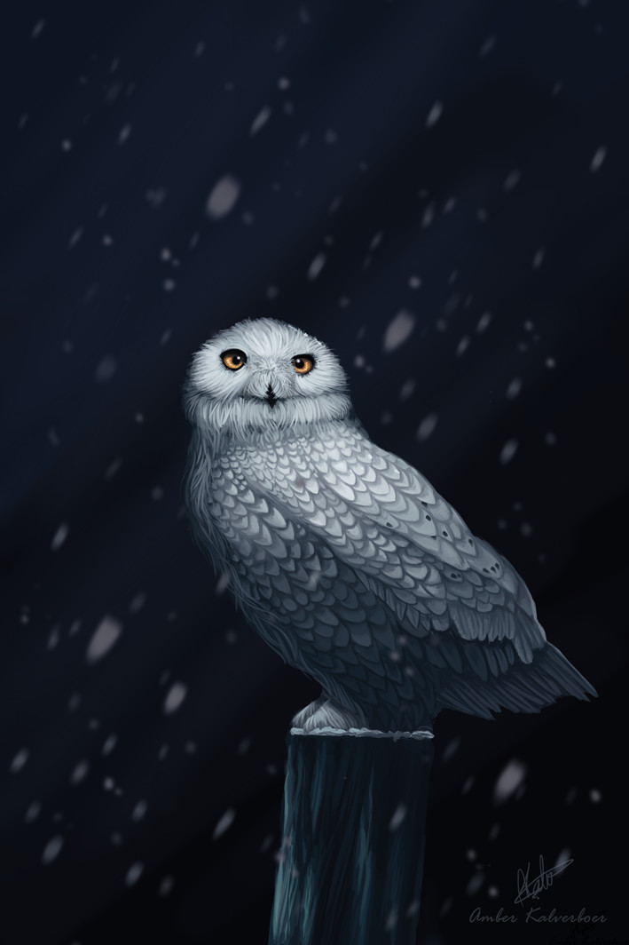 ArtStation - The Snowy Owl