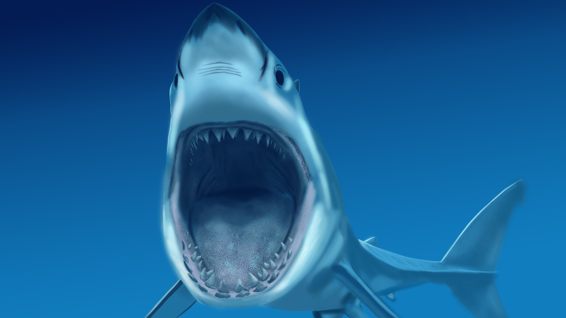 Shark Attack Background