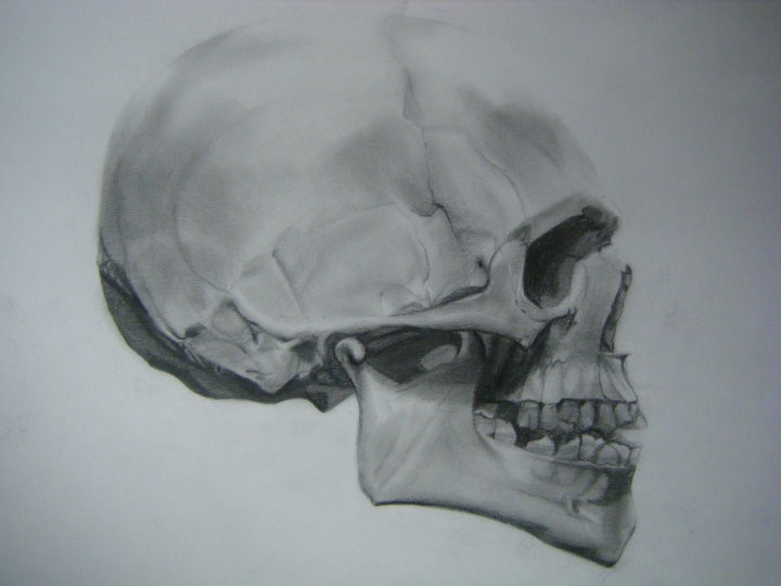 ArtStation - Traditional Drawing Practice - Anatomy Studies