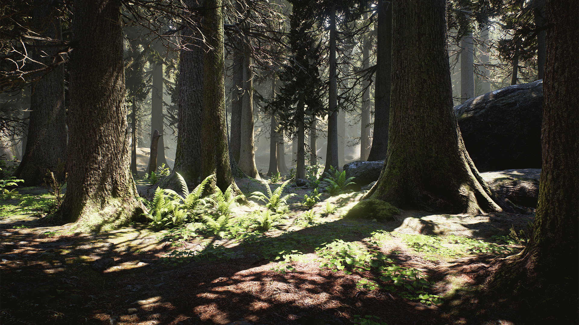 MAWI United - UE4 Conifer Forest