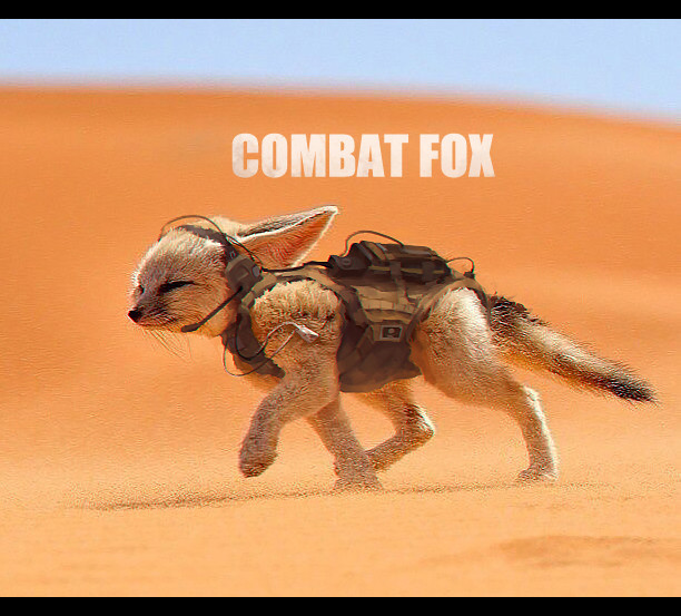 ArtStation - Combat Fox