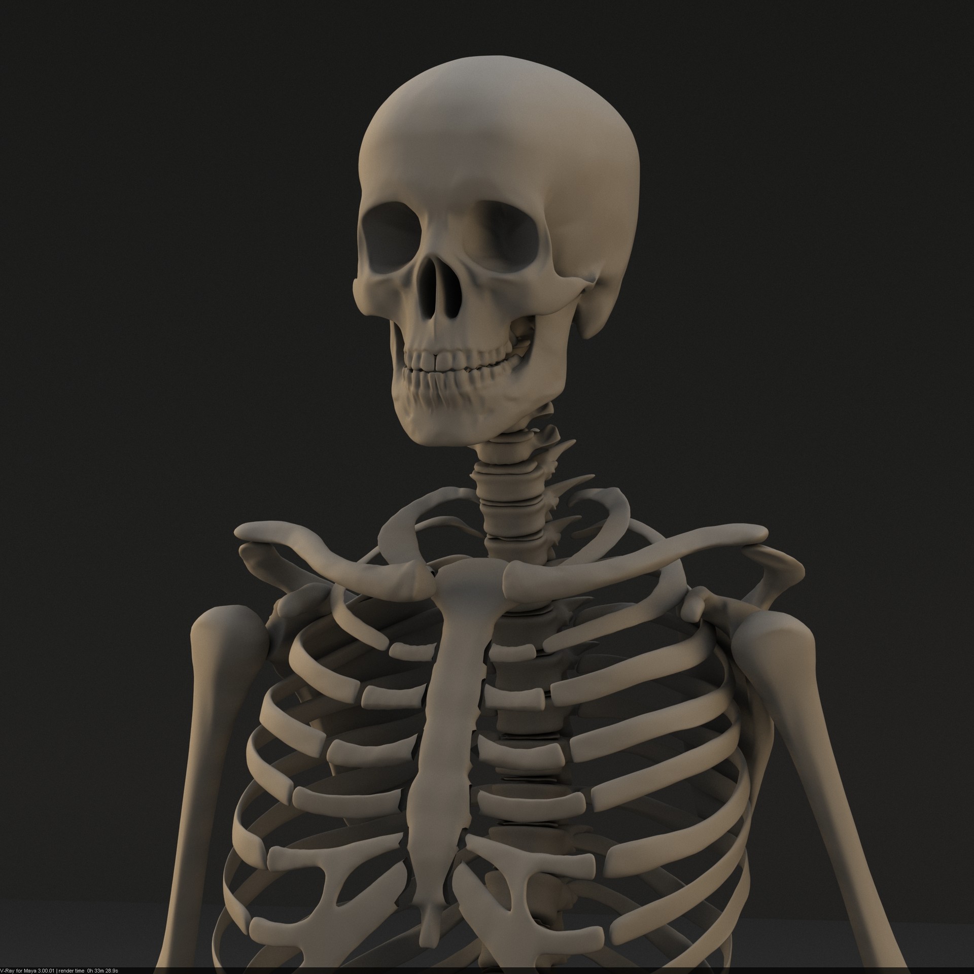 ArtStation - Skeleton