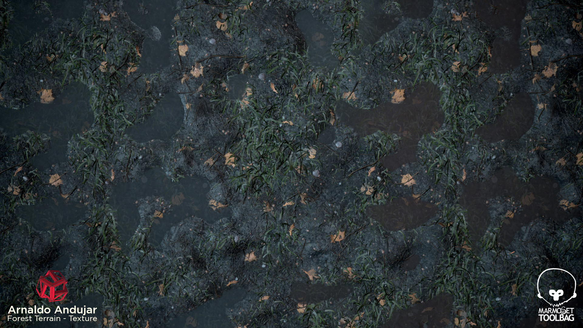 Dark Forest Ground Texture
