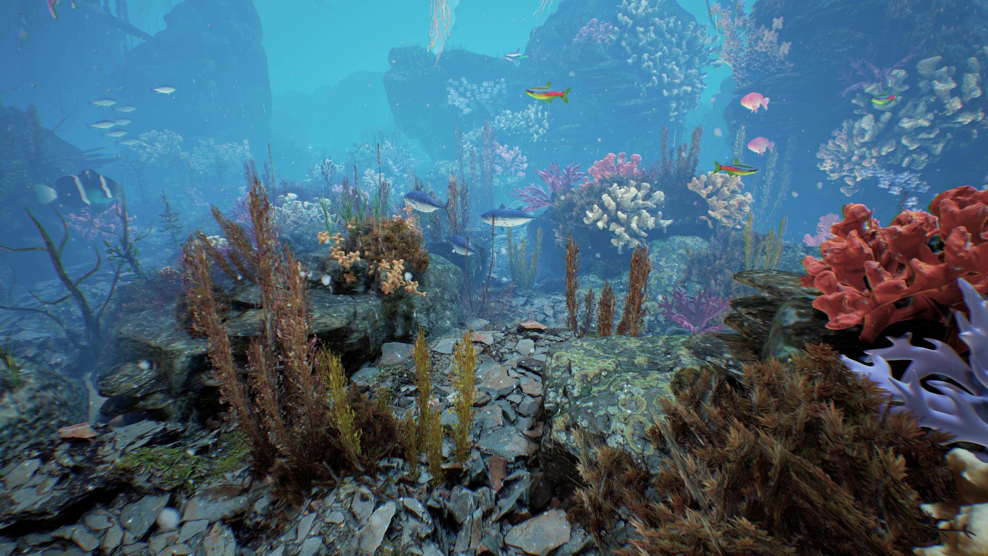 Jhosep Chevarria Capacoila - Underwater Scene - Unreal Engine 4, VR Ready