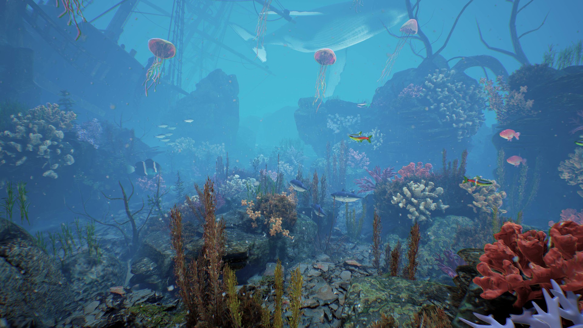Jhosep Chevarria Capacoila - Underwater Scene - Unreal Engine 4, VR Ready