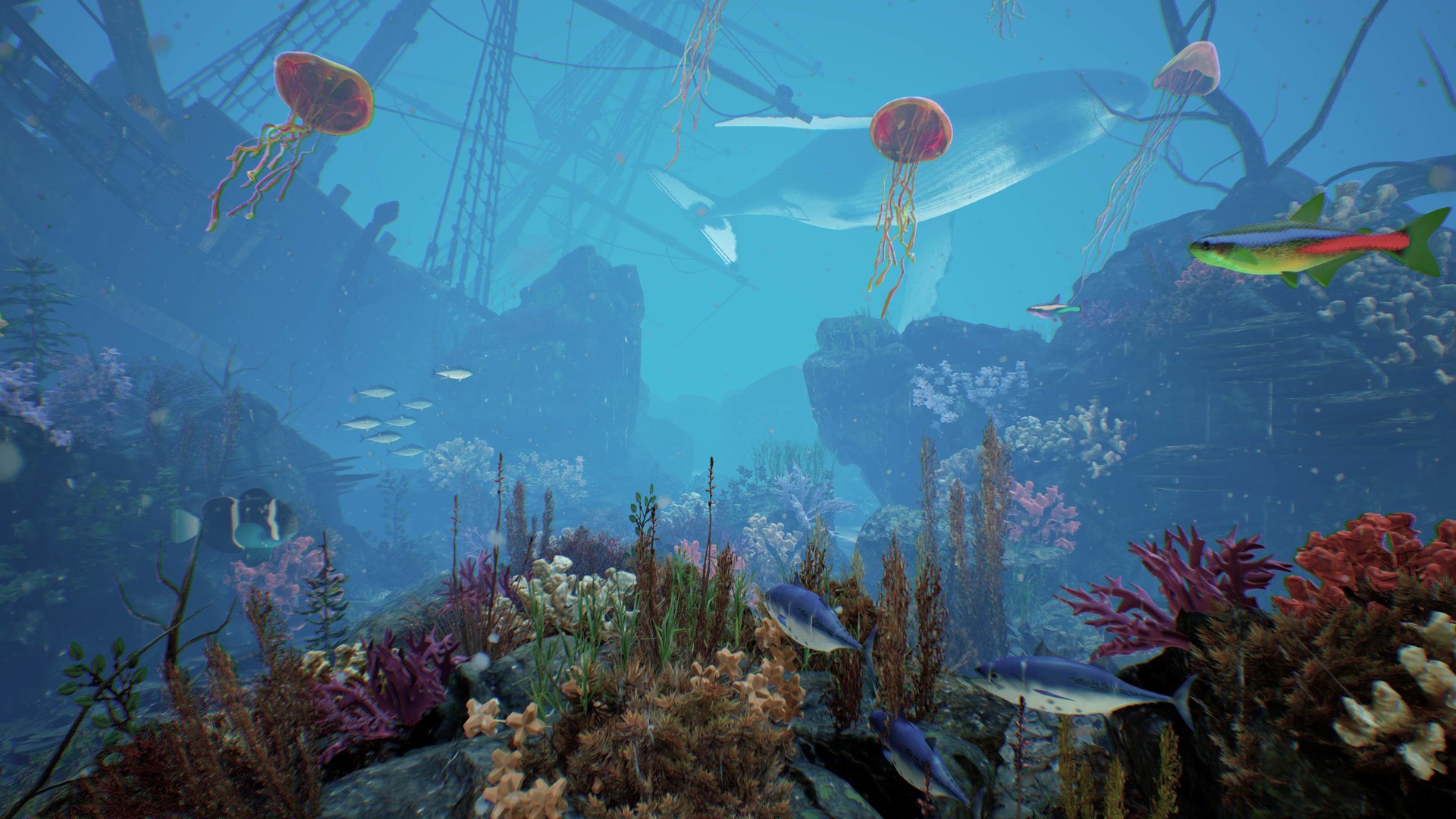 Jhosep Chevarria Capacoila - Underwater Scene - Unreal Engine 4, VR Ready