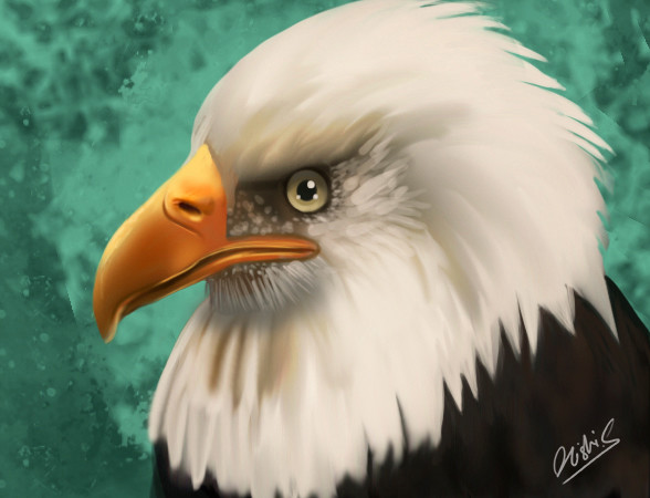 ArtStation - Eagle Study
