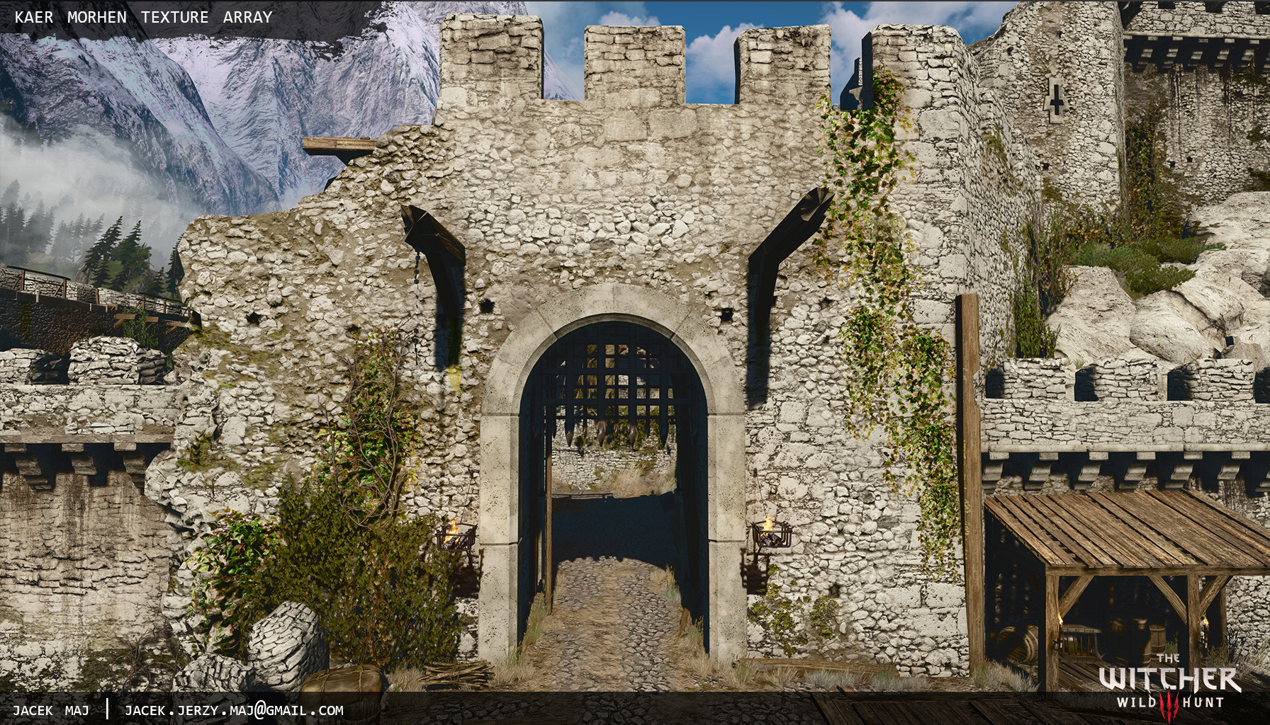 elven architecture witcher