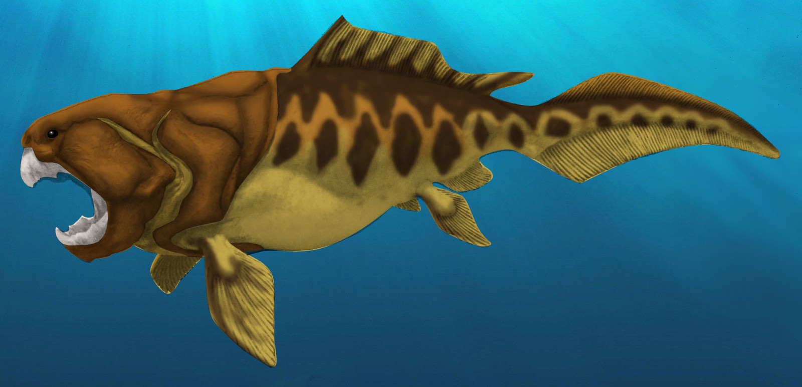 Mark Dowman - Dunkleosteus Color Study