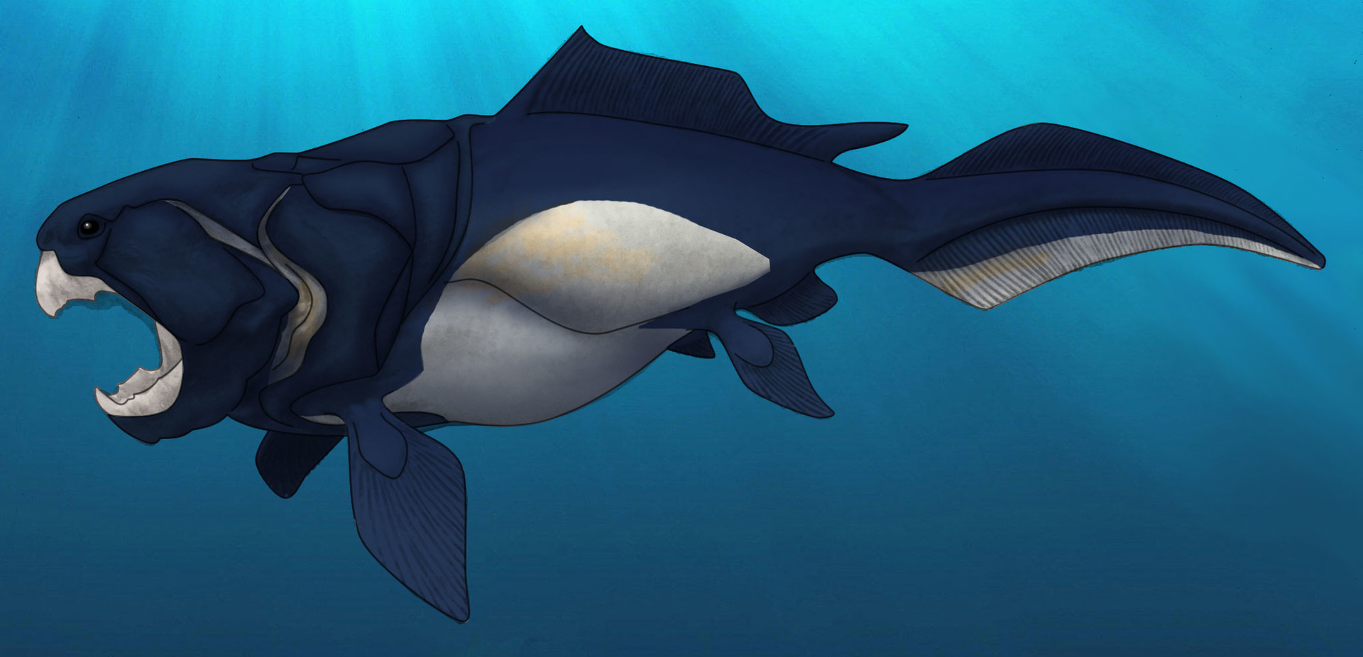 Mark Dowman - Dunkleosteus Color Study