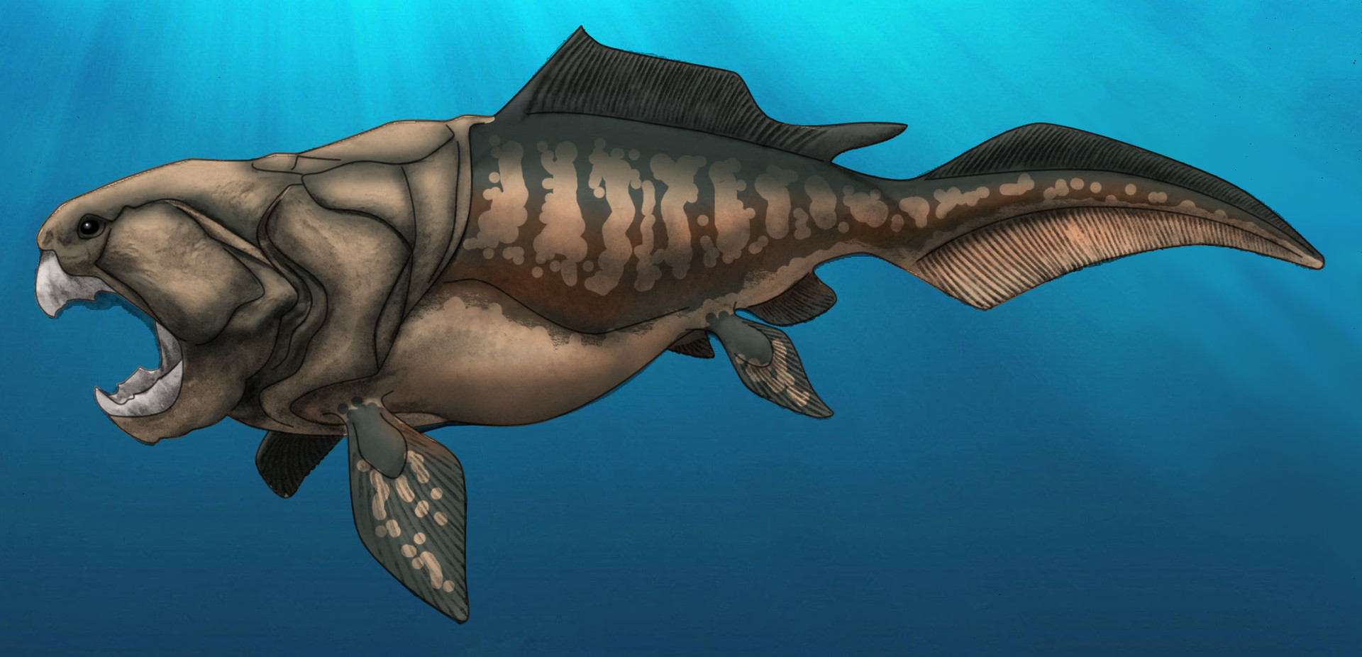 Mark Dowman - Dunkleosteus Color Study