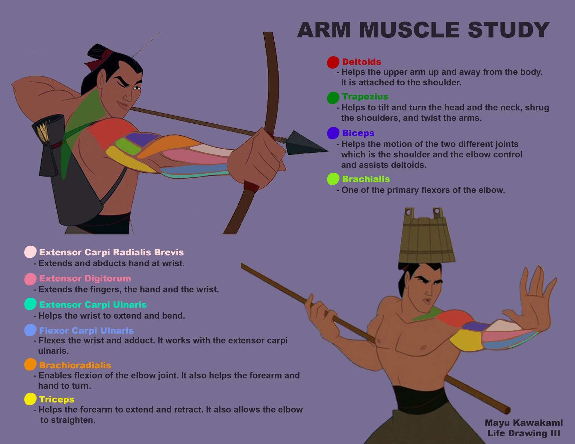 ArtStation - Muscle Studies