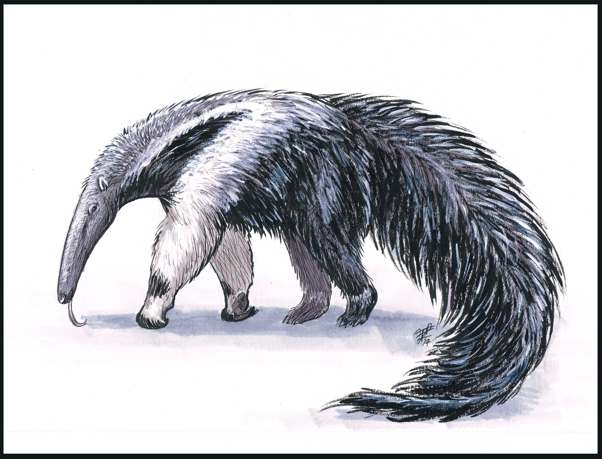 ArtStation - Anteater