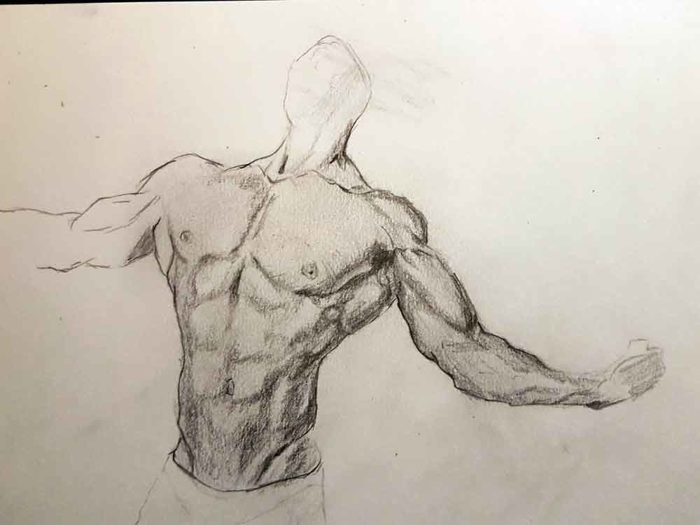 how to draw the torso proko