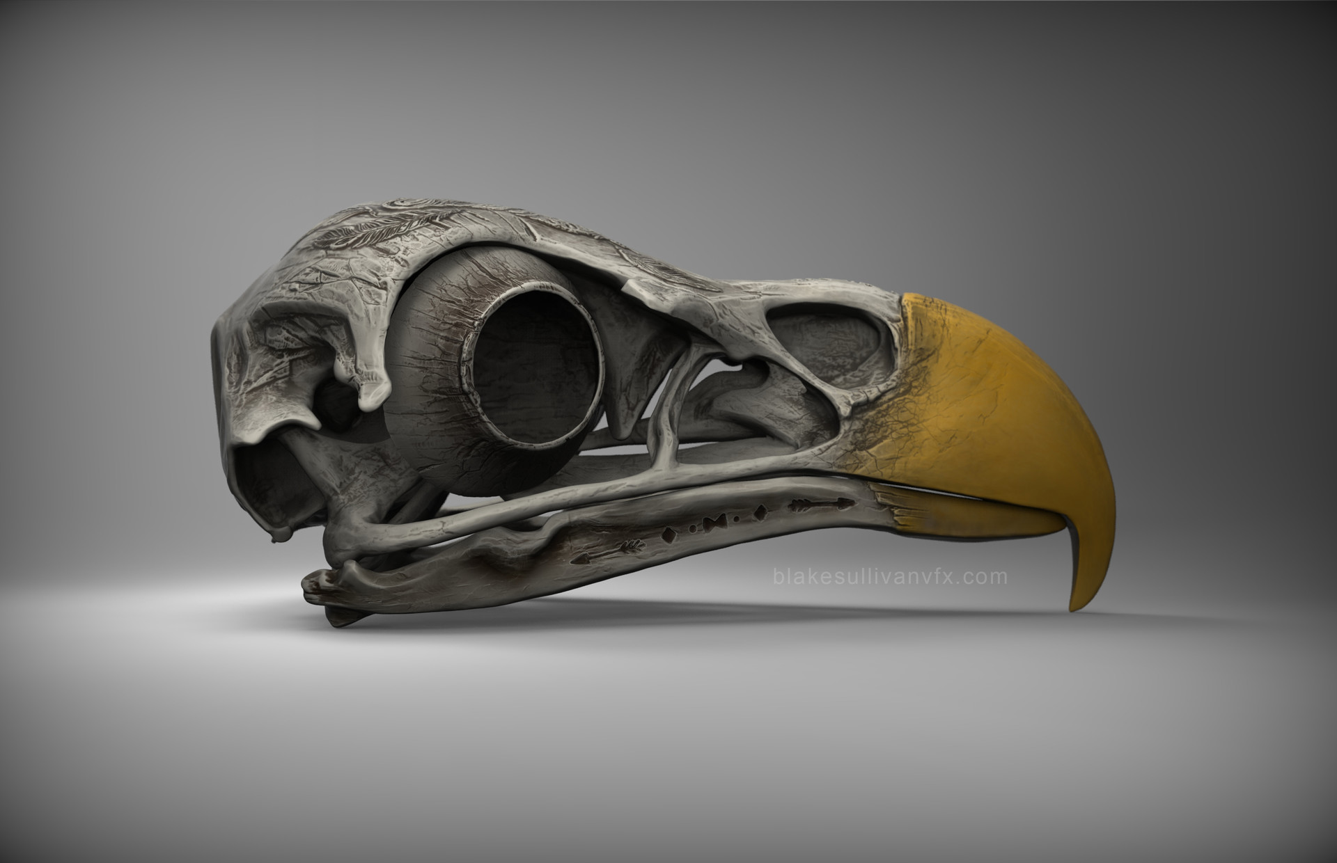 Blake Sullivan - Bald Eagle Skull