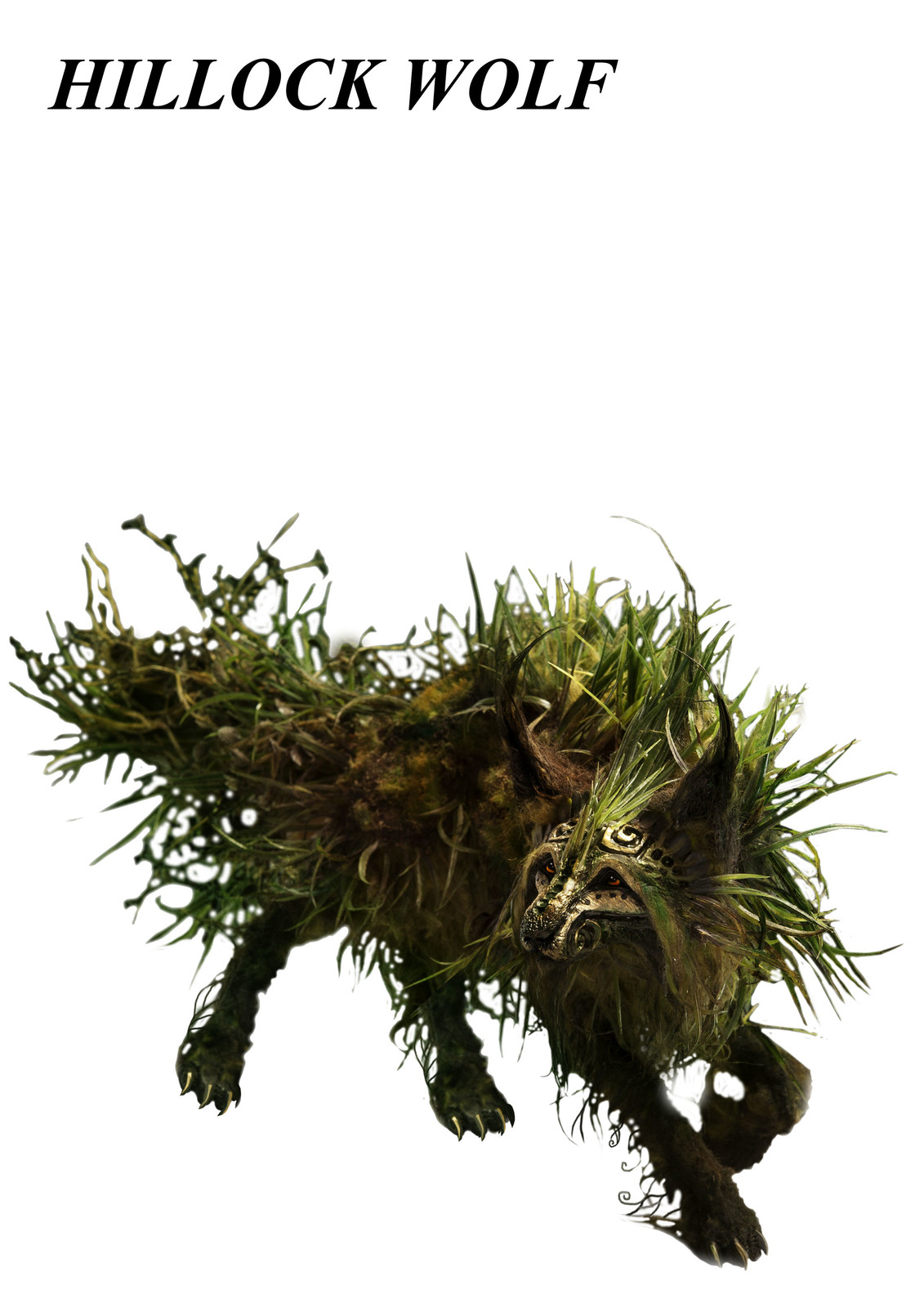 Johnny Fraser-Allen - The Wandering Woods / Illustration collaboration ...