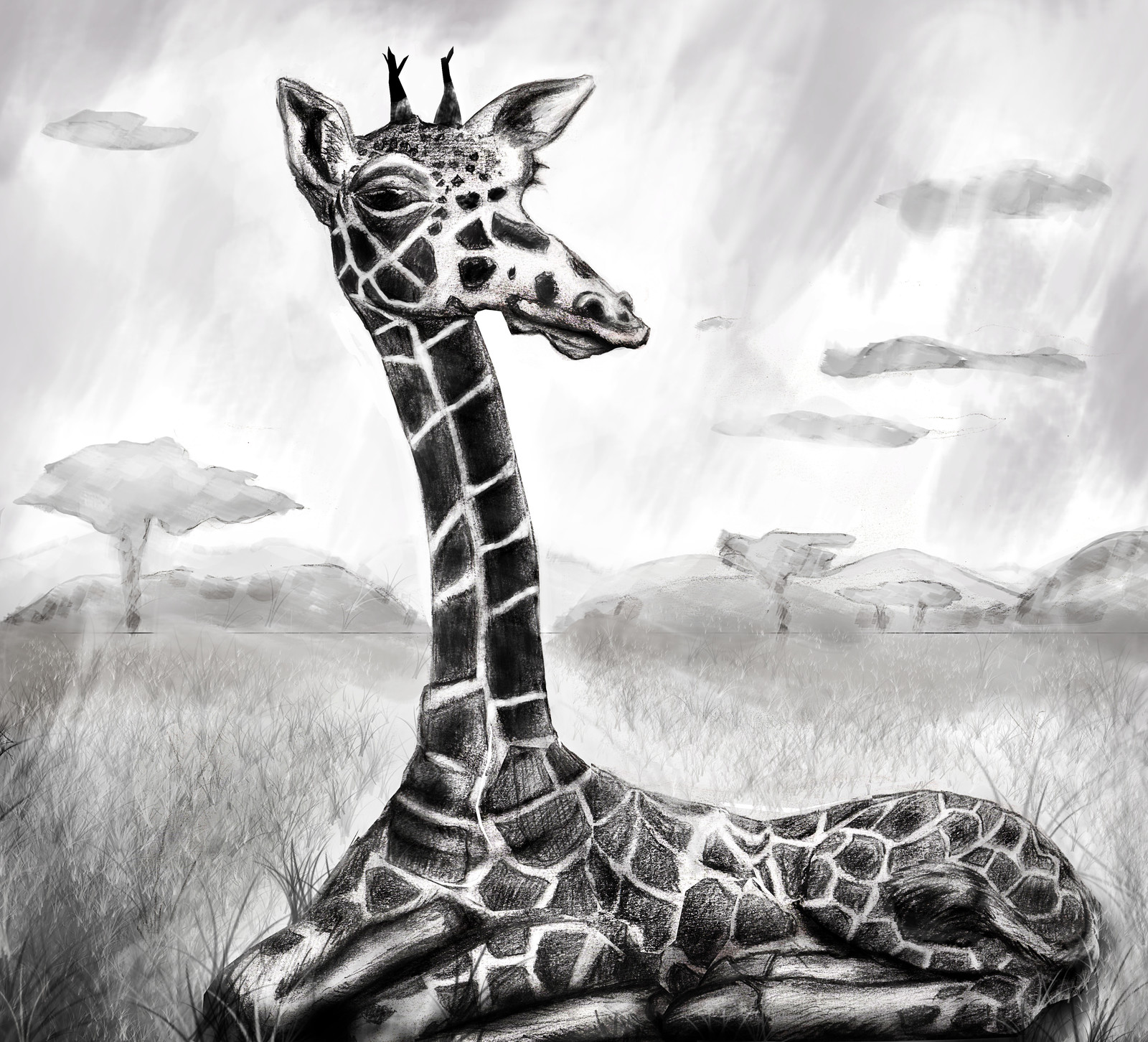 Jeffrey Metcalf - Giraffe Assignment - Drawing Fundamentals w/Thomas ...