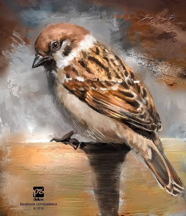 ArtStation - Sparrow