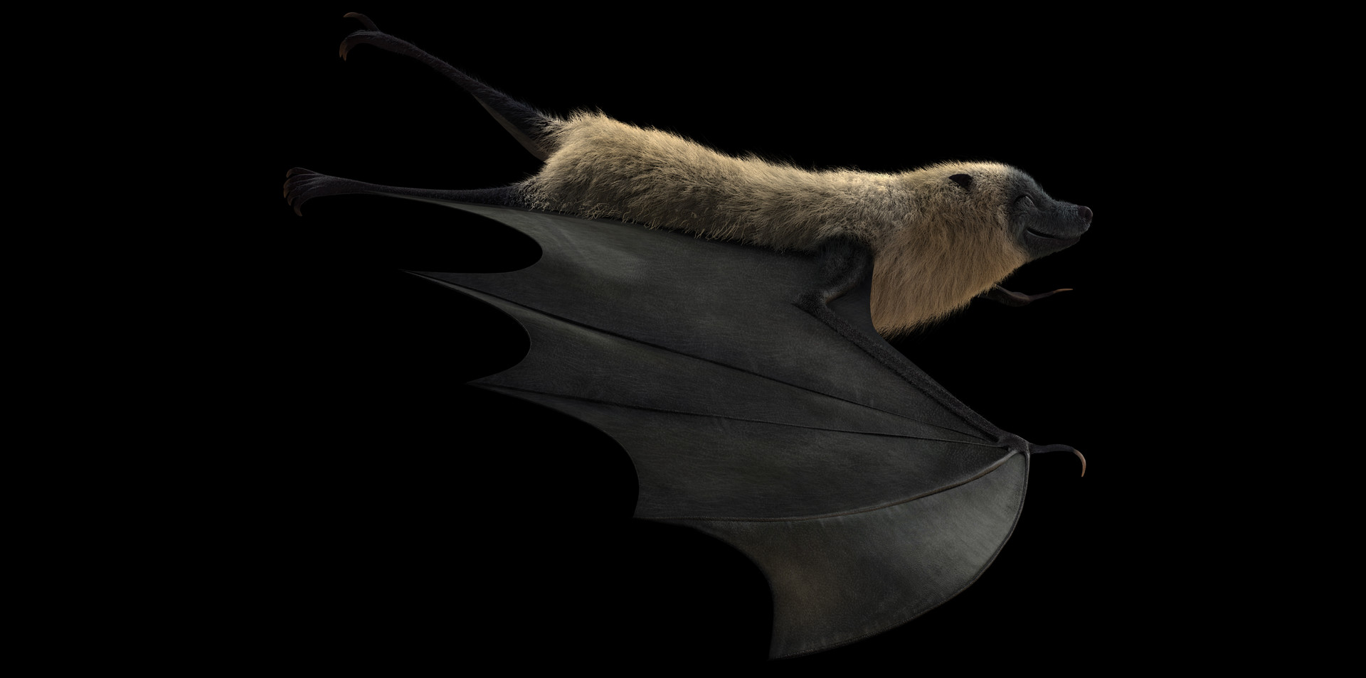 ArtStation - Bat