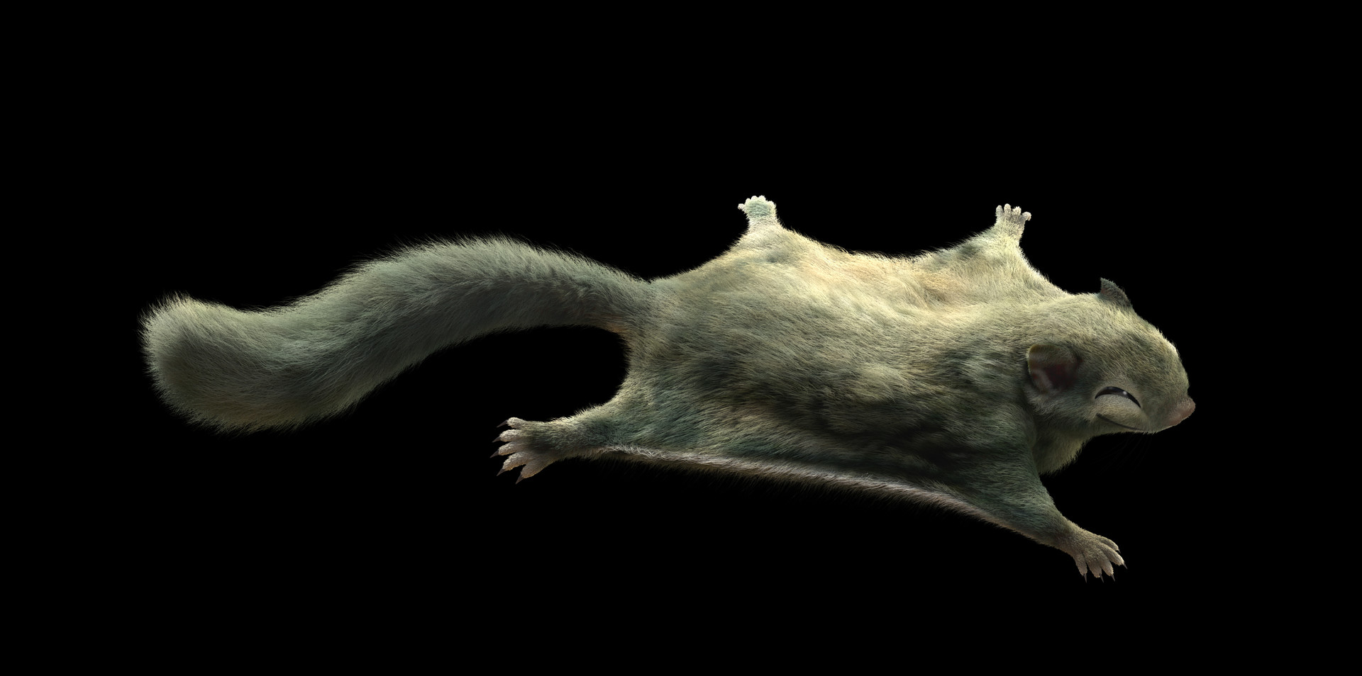 ArtStation - FlyingSquirrel