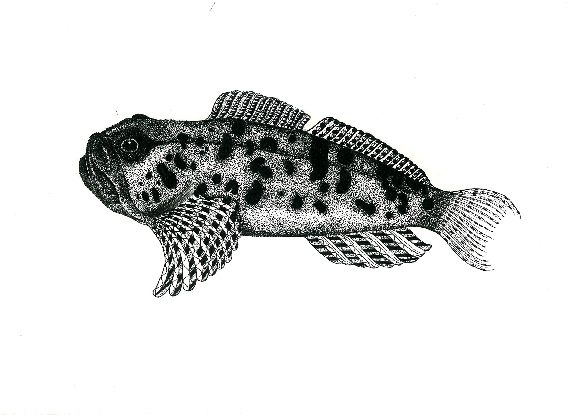 ArtStation - fish