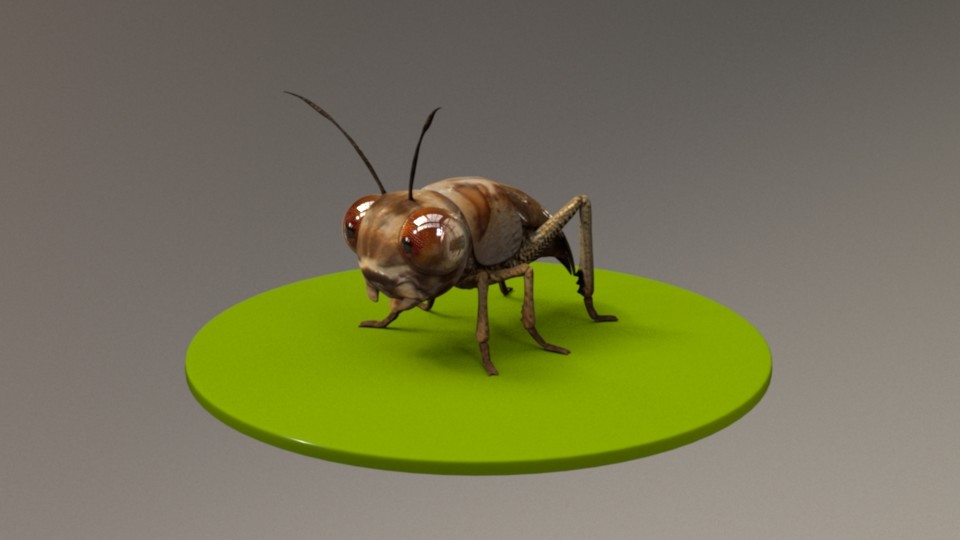 ArtStation - Cricket Texture