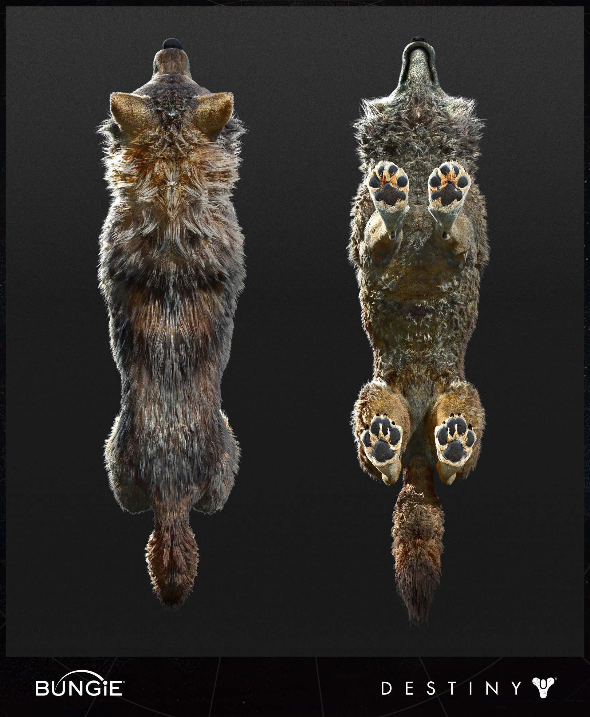 Ian McIntosh - Destiny: Rise of Iron - Wolf - High Poly