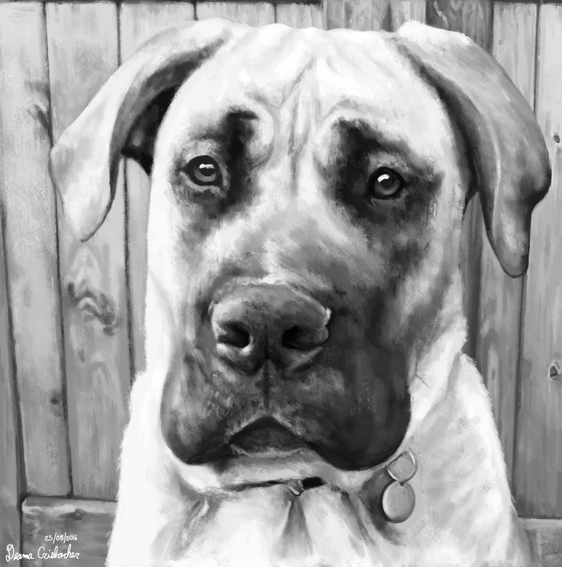 ArtStation - South African Mastiff (Boerboel) Portrait