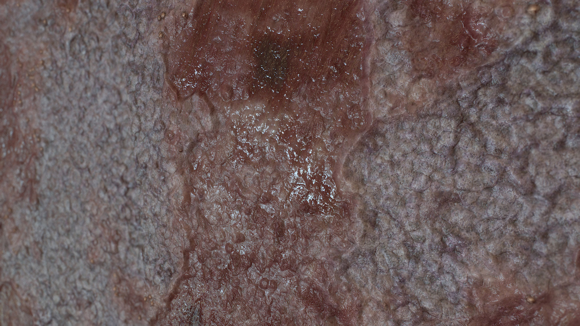 zombie skin texture