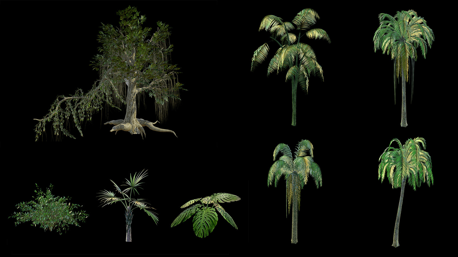 SungWook Jang - Jungle