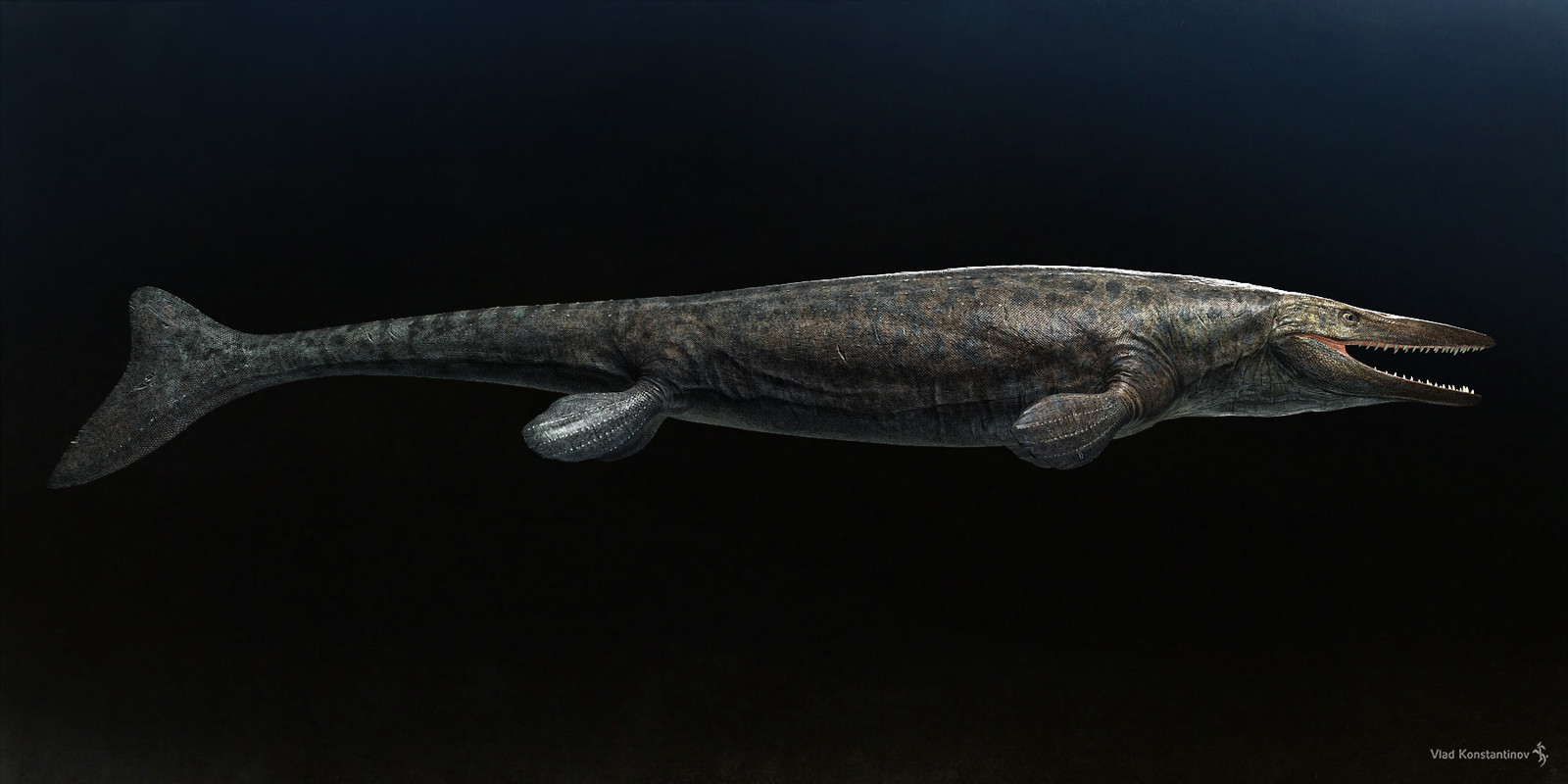 Vlad Konstantinov - Tylosaurus pembinensis