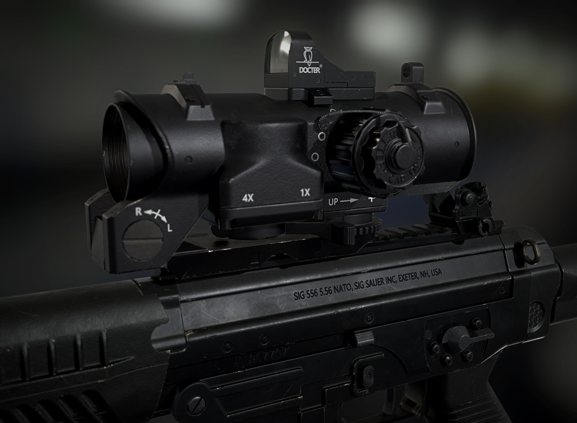 dohyun Park - SIG 556(DMR)