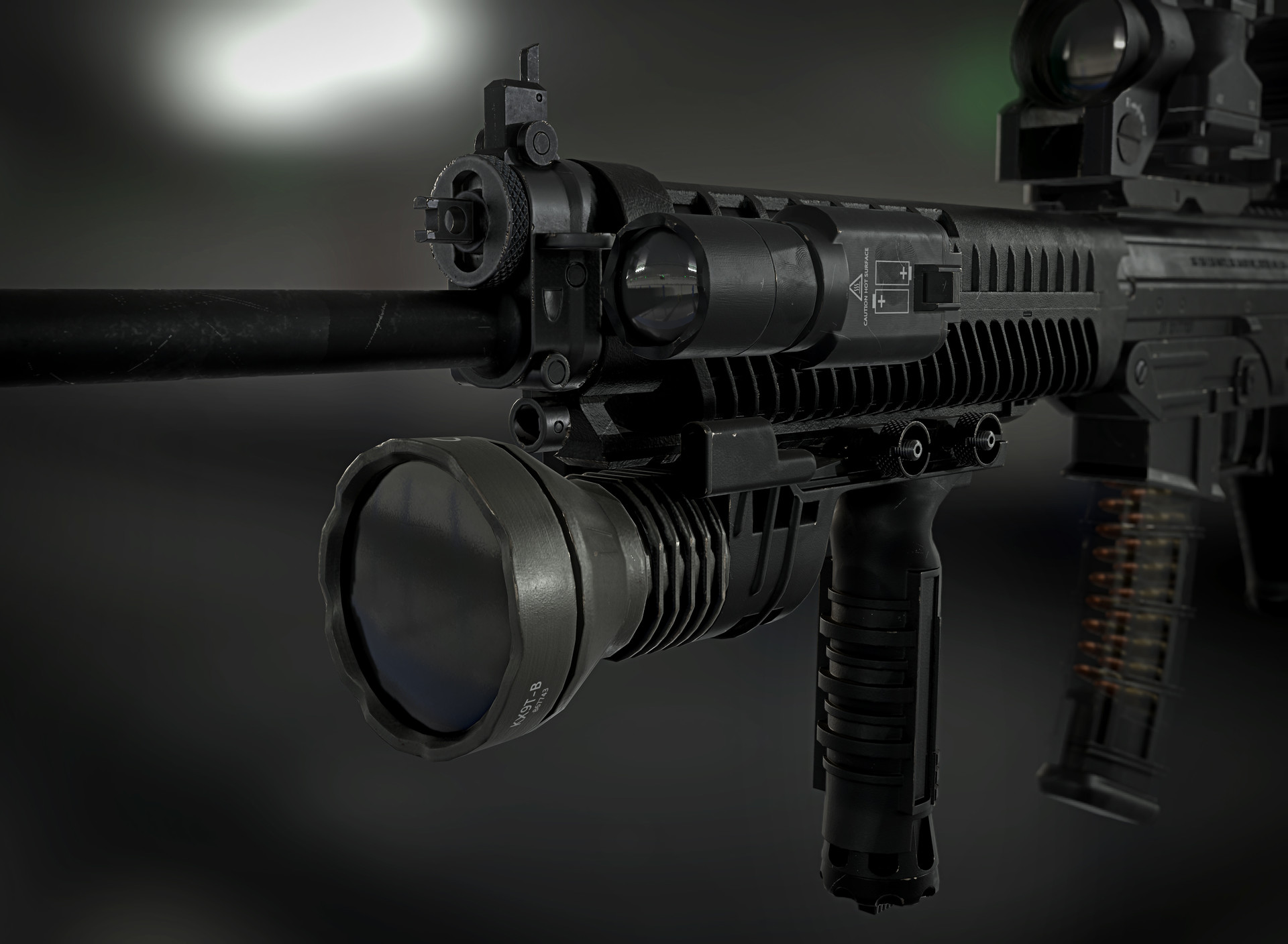 dohyun Park - SIG 556(DMR)