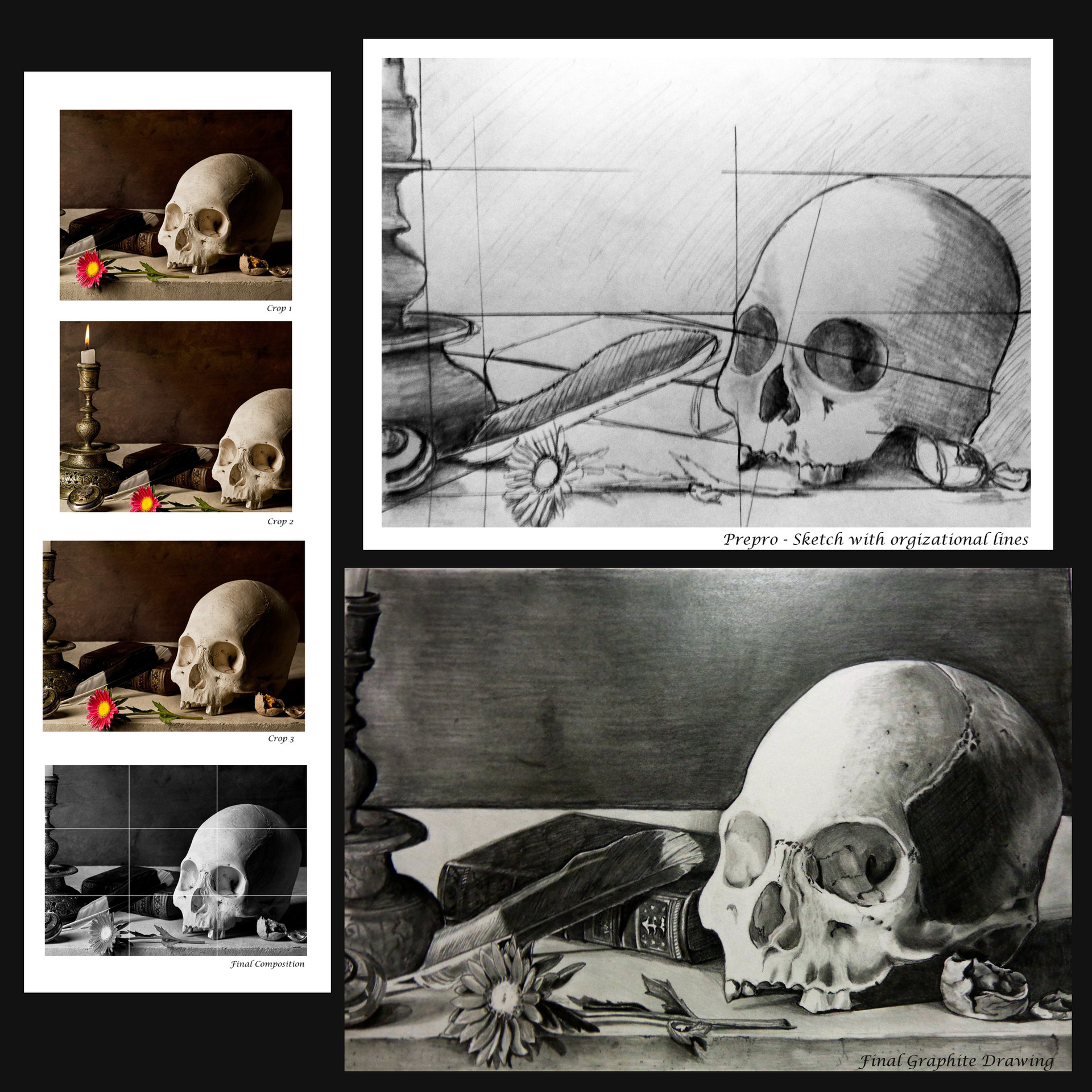 ArtStation - Skull Composition and Study