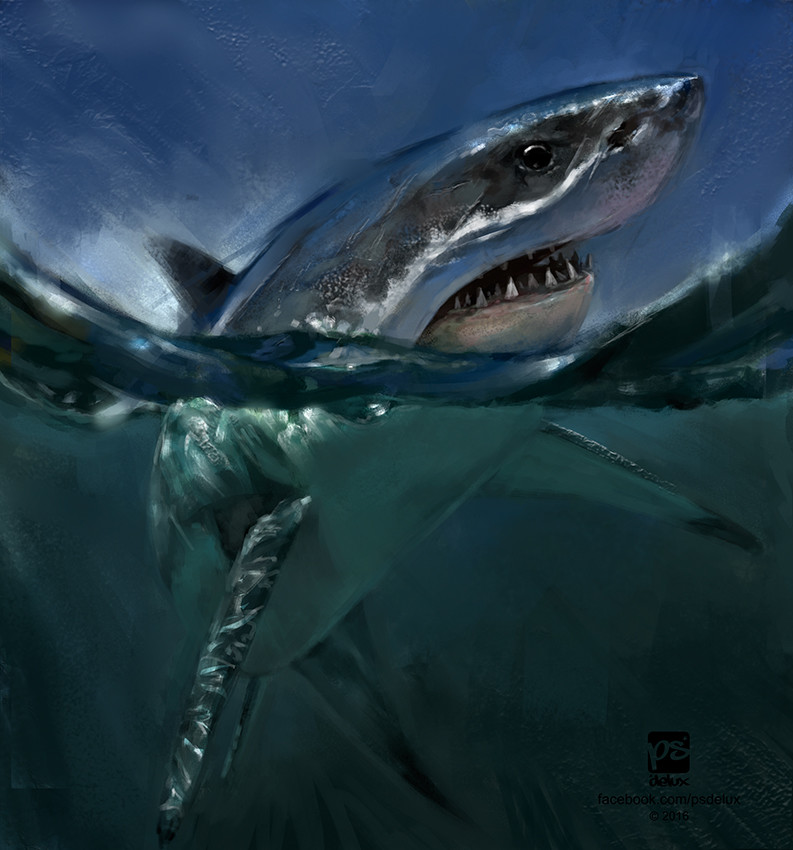 ArtStation - #shark