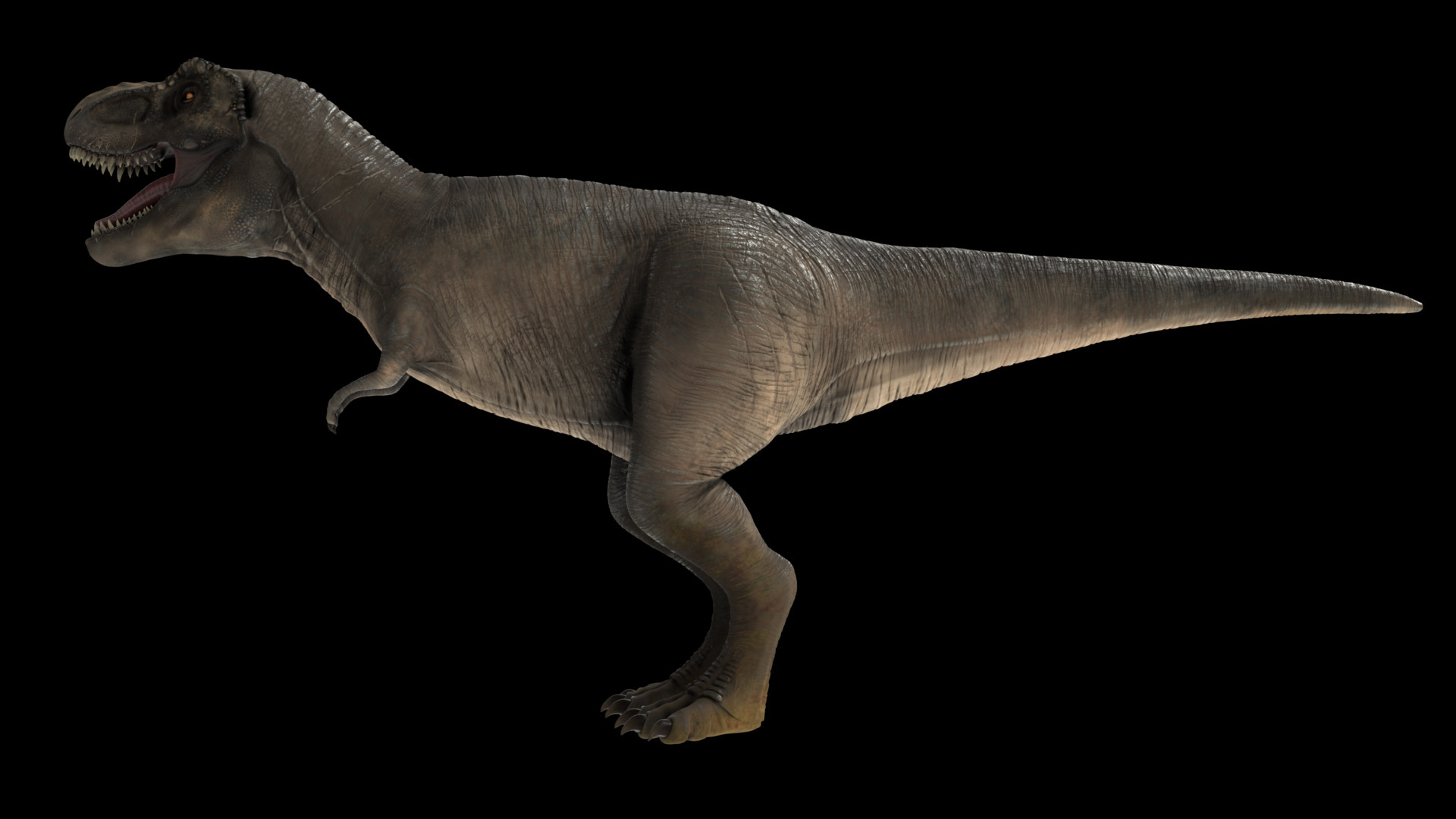 Antonio Buiano - T-rex realistic model