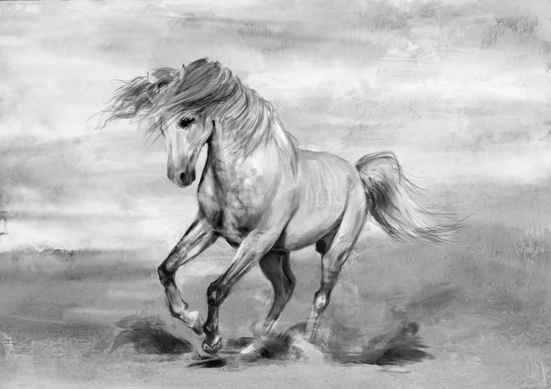 ArtStation - Horse B&W
