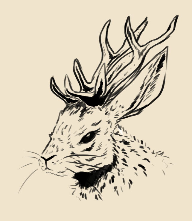Jackalope Drawing