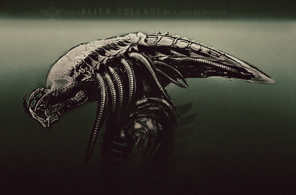 ArtStation - Predalien Collage