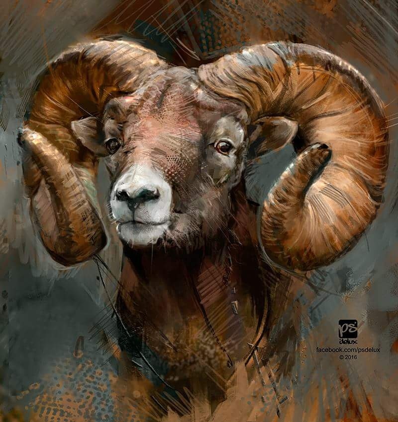 ArtStation - #ram --SOLD--
