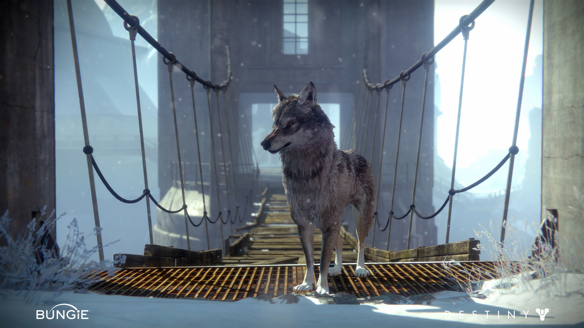 Ian McIntosh - Destiny: Rise of Iron - Wolf - Low Poly in Game