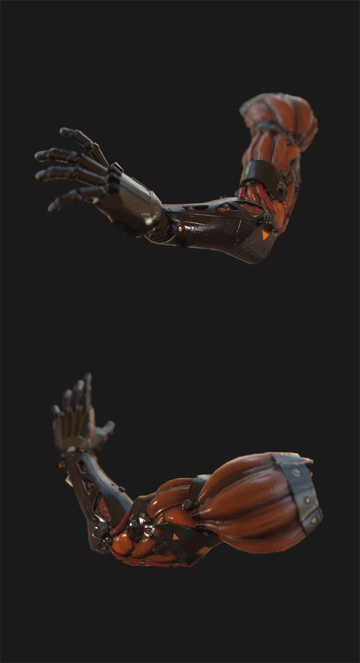 Nicolas Campelo - cyborg arm