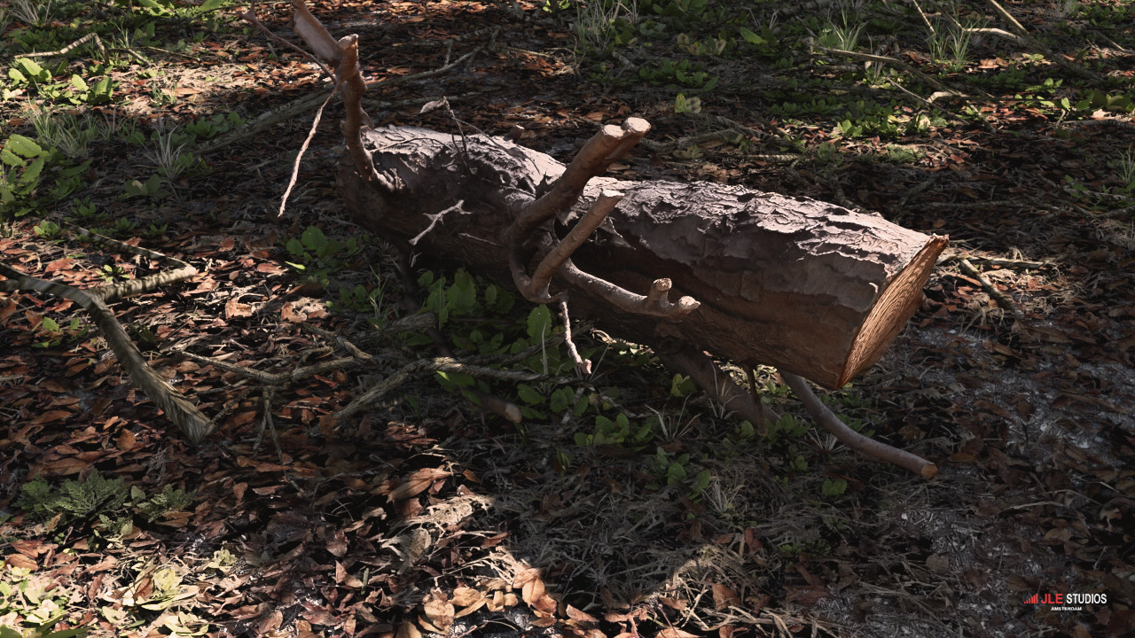 ArtStation - Making of : Forest Ground Scene in Blender 3D