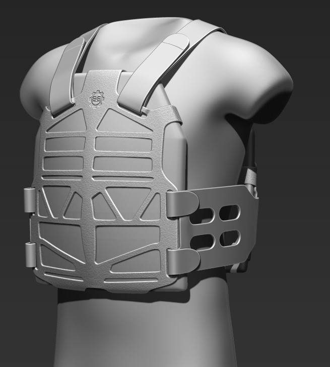 Gerard Mery - S&S Plate Frame (WIP)