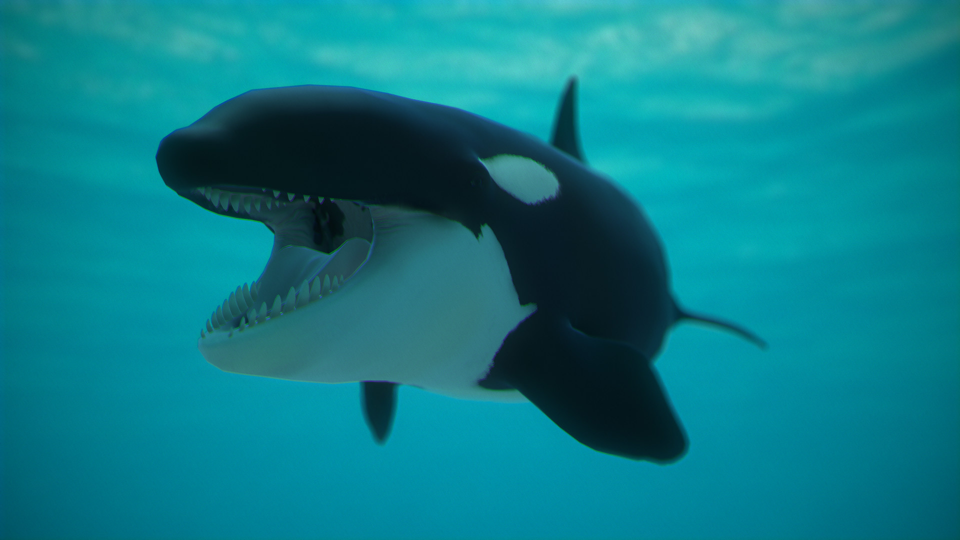 Jamie Carr - Female Orca (Rigged)