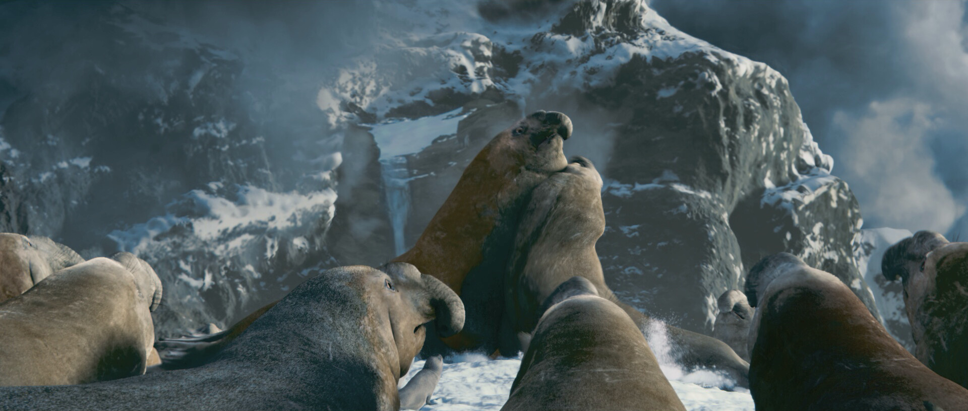 Elephant Seal Happy Feet