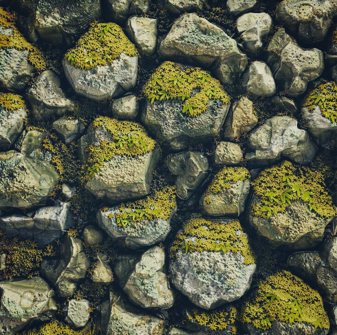 ArtStation - Procedural Rocks and Moss