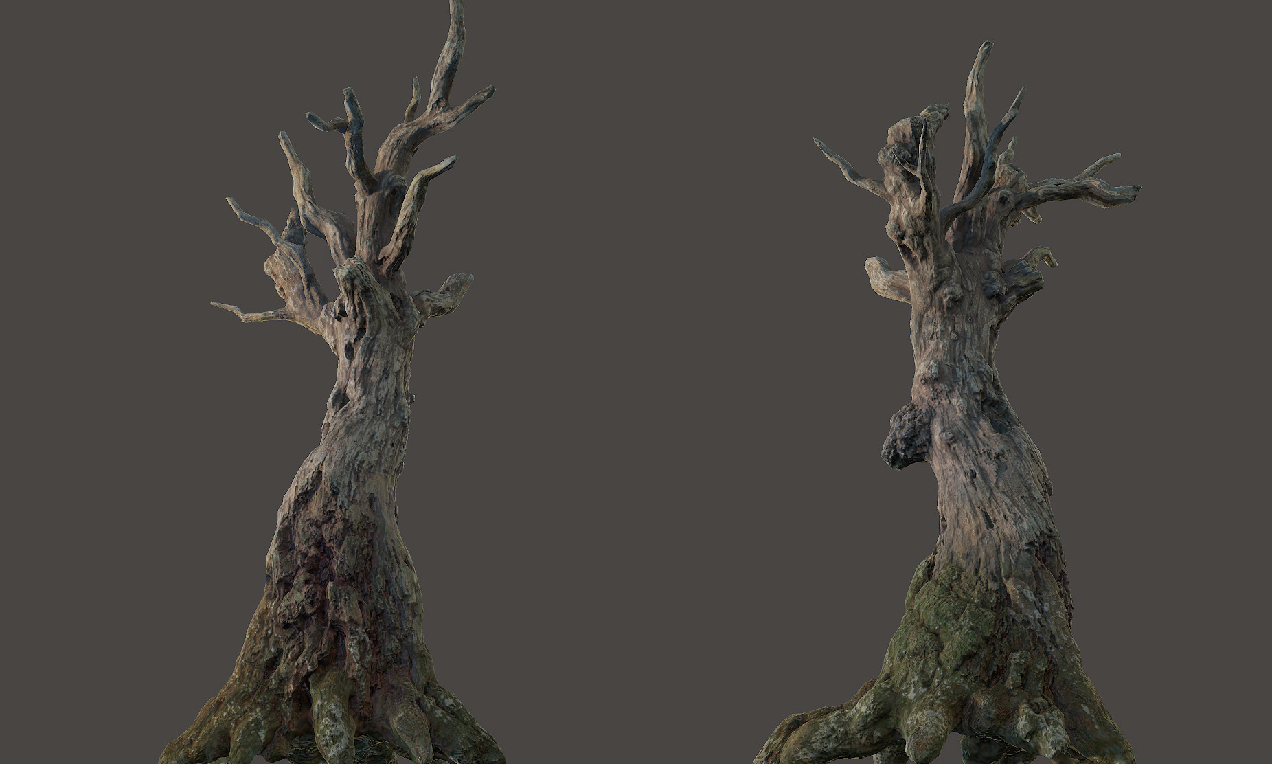 ArtStation - Rotten Tree