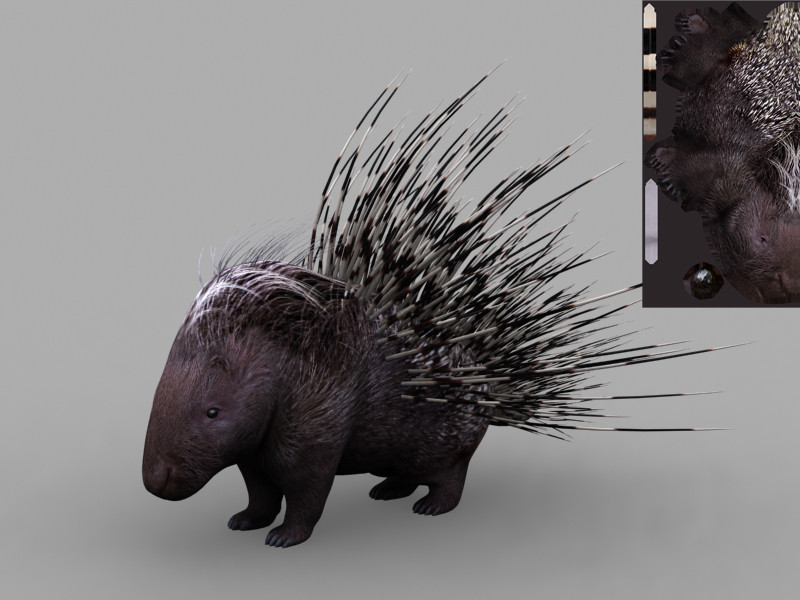 ArtStation - Porcupine